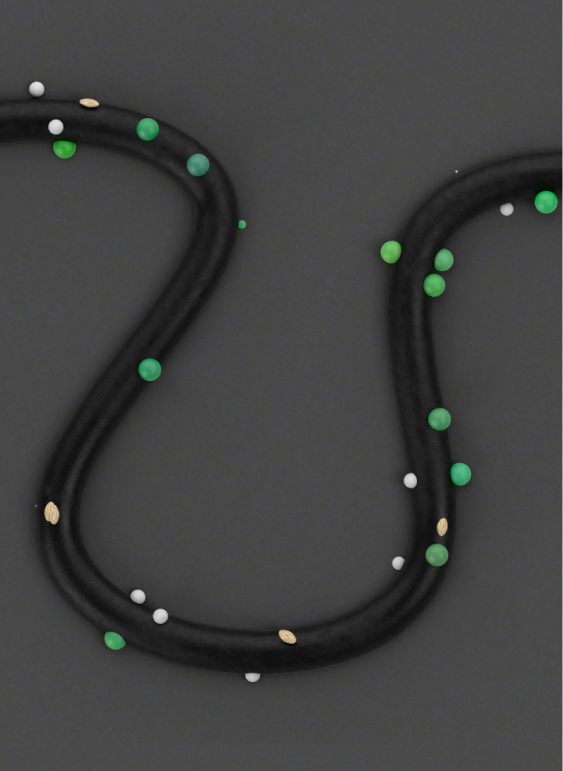 Expanding Floss | The boss of all floss