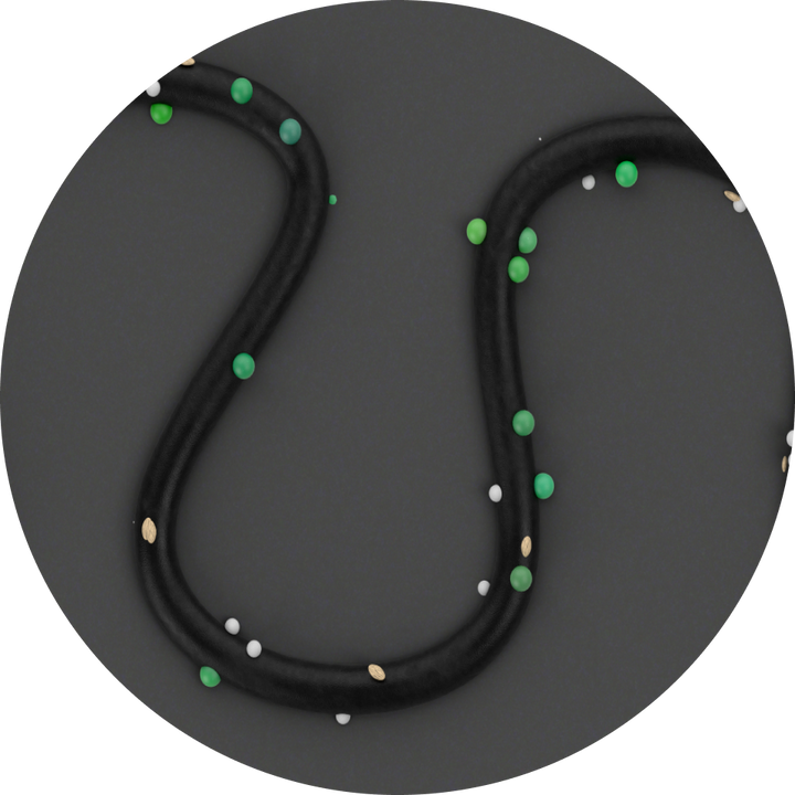 BURST Replacement Floss | Deep Cleaning Floss